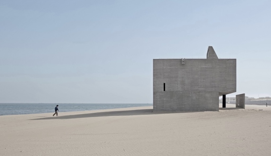 This Is the Perfect Library for Ocean Lovers | The Inertia