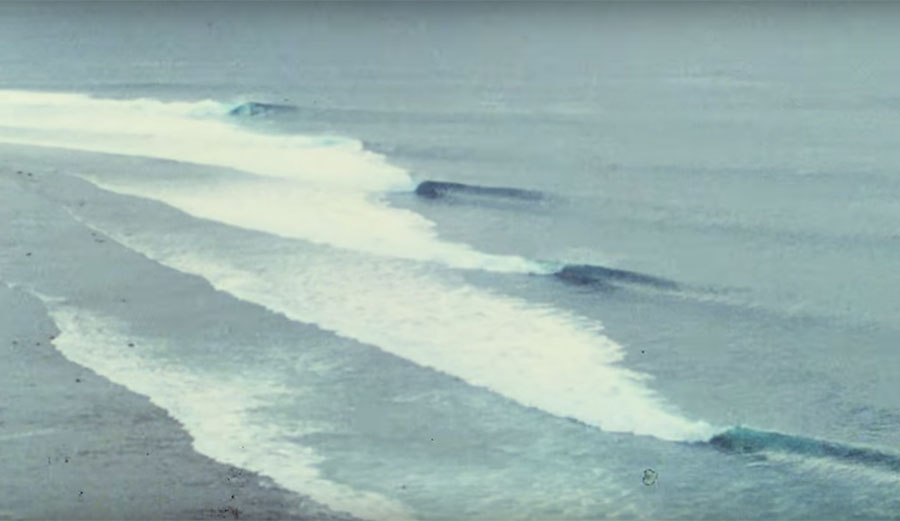 The Discovery of Desert Point | The Inertia