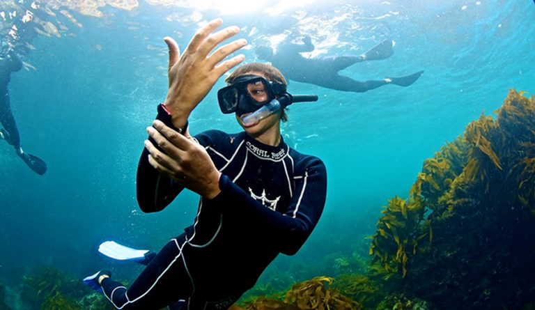 I Witnessed the Healing Powers of the Ocean in Cancer Patients | The ...