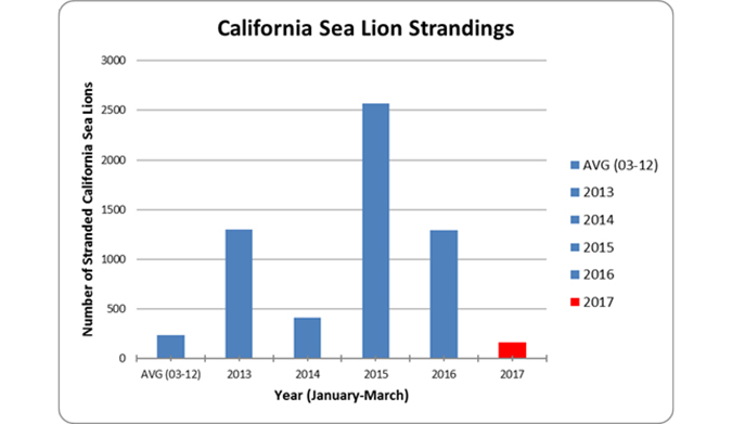 What Stranded Sea Lions in California Teach Us About the Health of Our ...