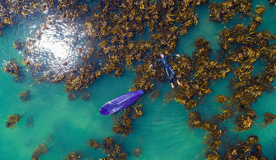 This Finless Board Surfs Through Kelp Forests Like a Hot Knife Through ...