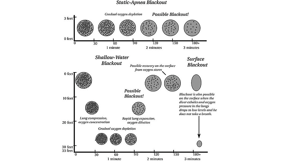 Understanding Freediving Blackouts and How to Prevent Them | The Inertia
