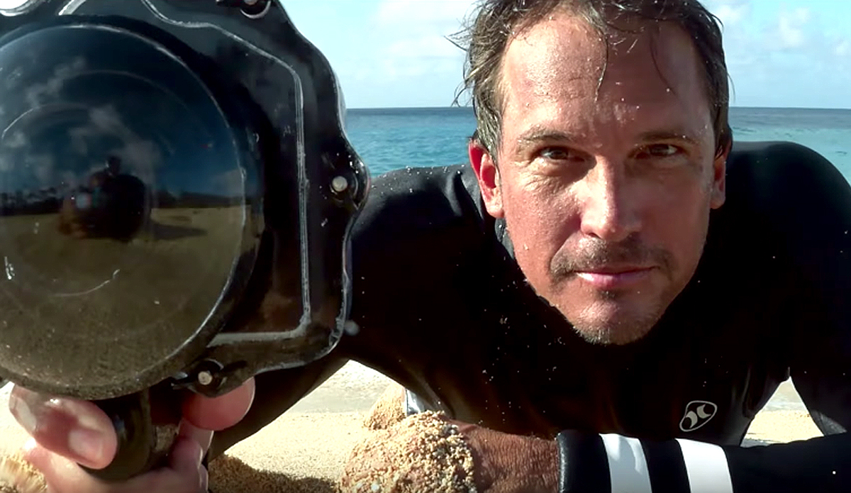 7 New Films That Are Going to Help You Fall Back In Love With the Ocean ...