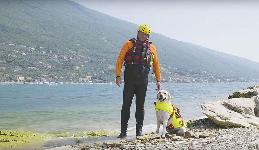 Italy Has a Team of Dog Lifeguards | The Inertia