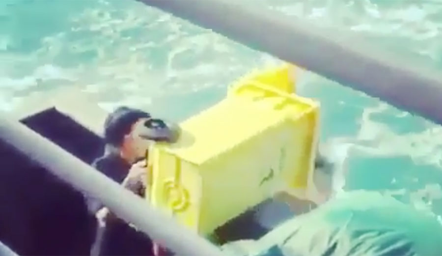 Throwing Garbage In The Water