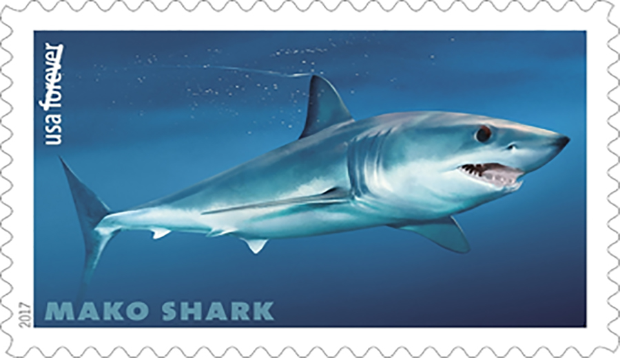 The United States Postal Service Just Released a Series of New Shark ...