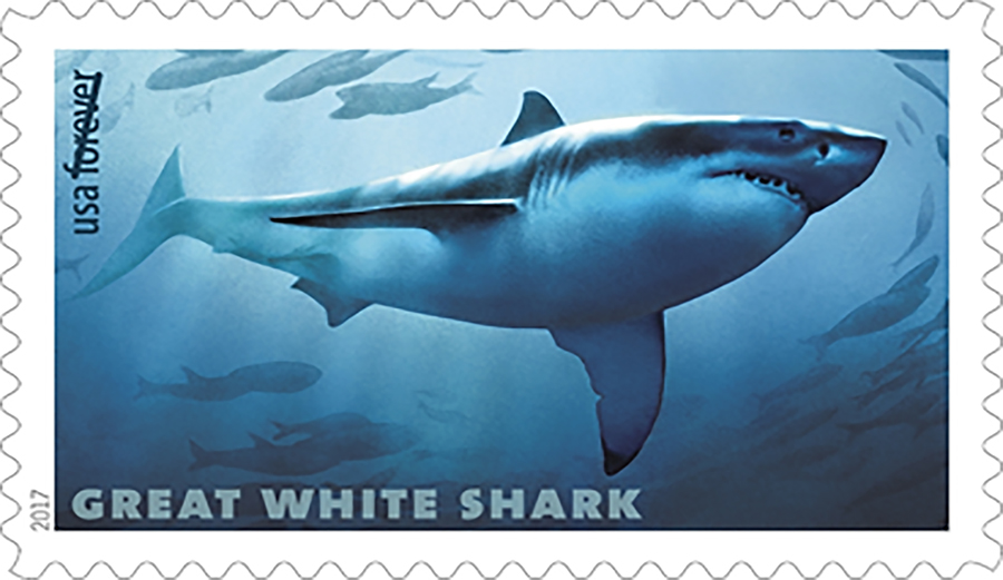The United States Postal Service Just Released a Series of New Shark ...