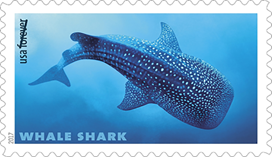 The United States Postal Service Just Released a Series of New Shark ...
