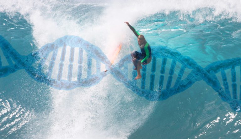 How DNA Testing Helps Athletes Maximize Their Genetic Potential | The ...