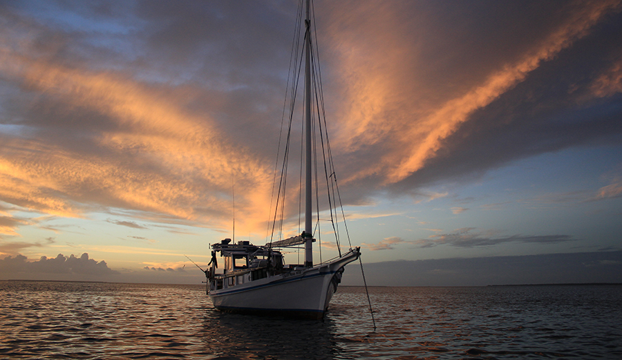 This Ship Is Getting People Into the Best Waves of Their Lives While ...