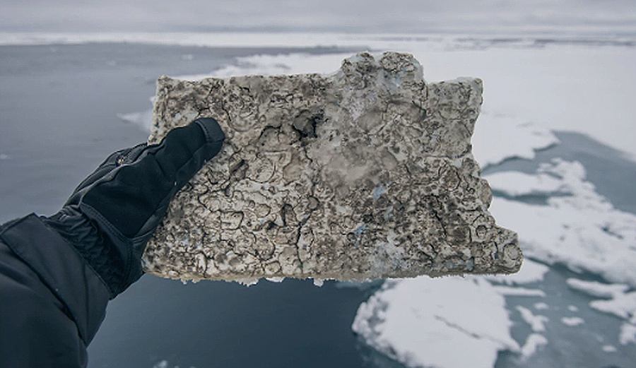 Plastic Pollution Now So Bad Scientists Say it's Floating in the Arctic ...