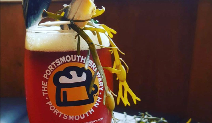 This Brewery Is Making Beer From Seaweed | The Inertia