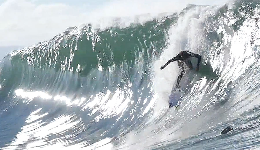 Harry Bryant Turned Into a Tasmanian Devil | The Inertia