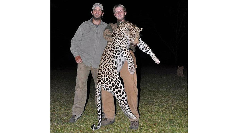 Debate Roars to Life Over Grizzly Bear Hunt | The Inertia