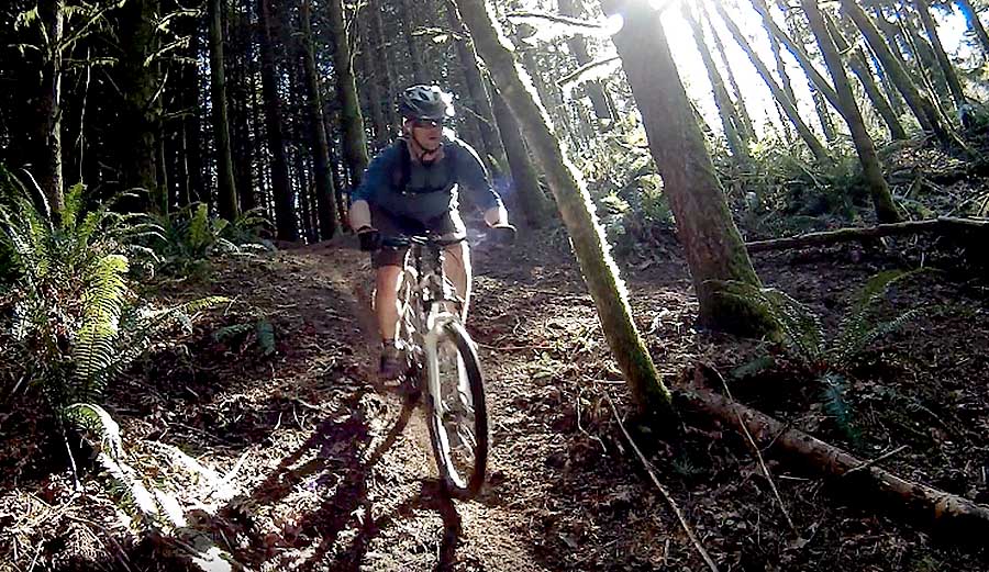 6 Ways Portland Is Leading the Green City Movement | The Inertia