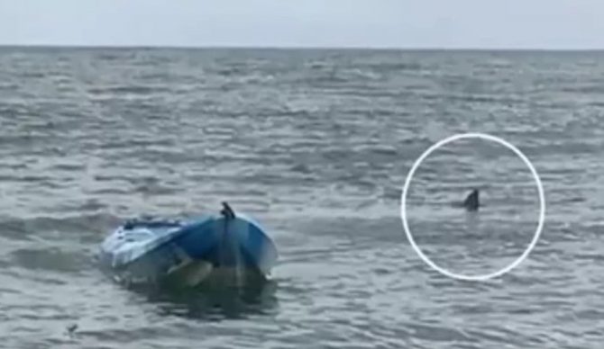 Australian Father Recounts Narrowly Rescuing His Daughter from a 15 ...