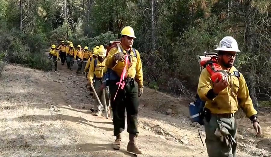 These Samoan Firefighters Singing Hymn in California Woods During ...