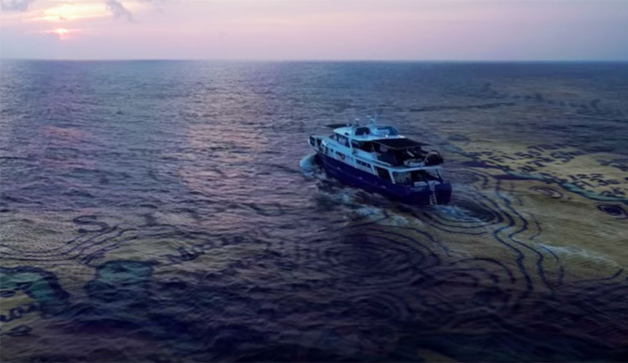 Here's How Martin Daly Discovered More Perfect Waves Than Anyone on ...