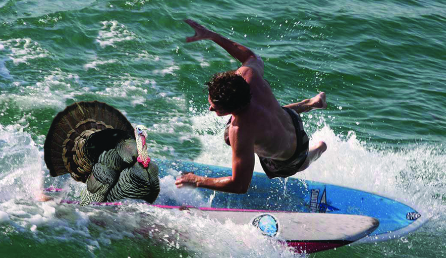 When Turkeys Stuff Back | The Inertia