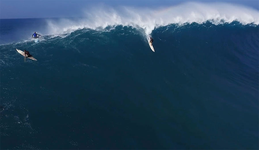 This Is Quite Possibly the Most Beautiful Jaws Footage You've Ever Seen ...