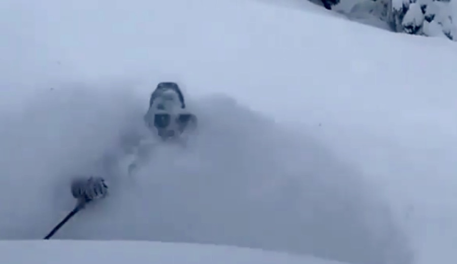 Mt. Baker Had One of its Deepest Powder Days in Years This Week | The ...