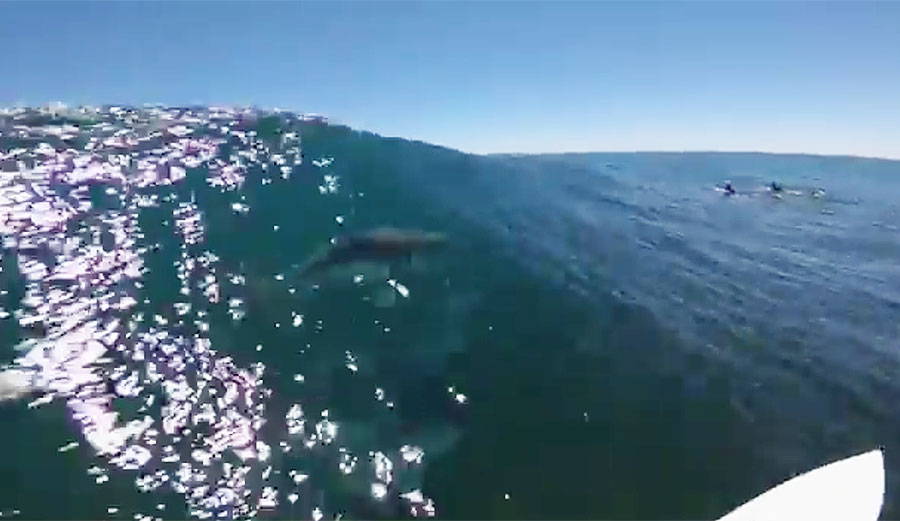 Ry Craike and the Coolest Party Wave You've Ever Seen | The Inertia