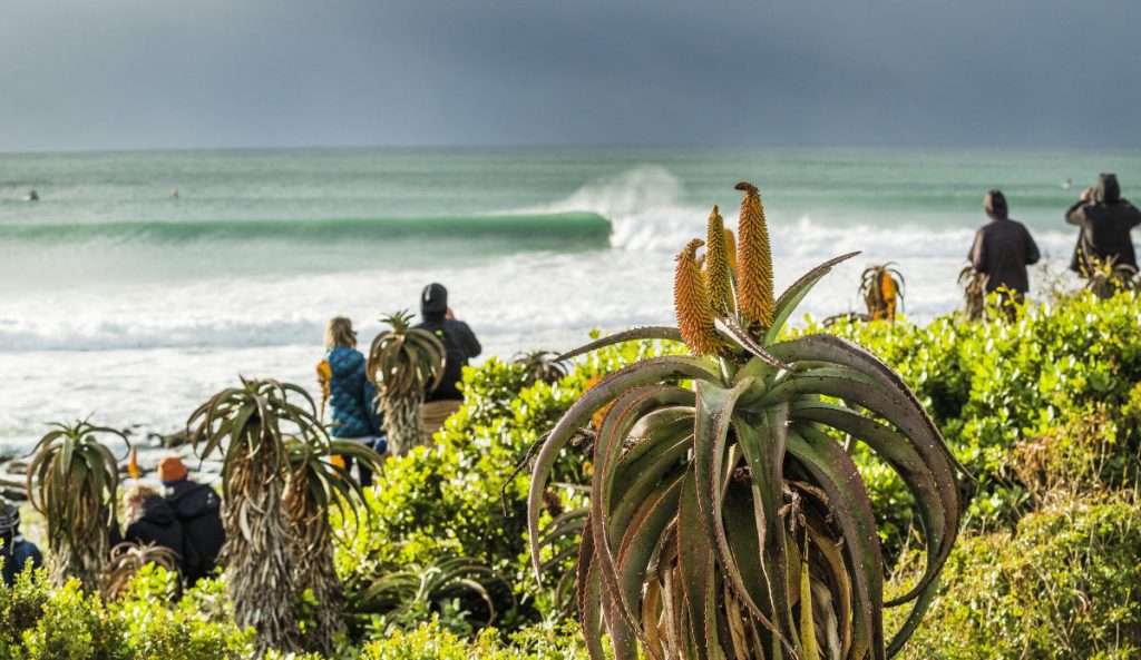 What Adding JBay to the Women's CT Means for the Tour | The Inertia