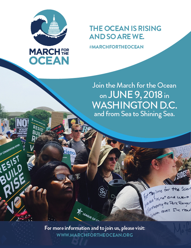 How This Summer's March for the Ocean Will Shift the Tide of Ocean ...