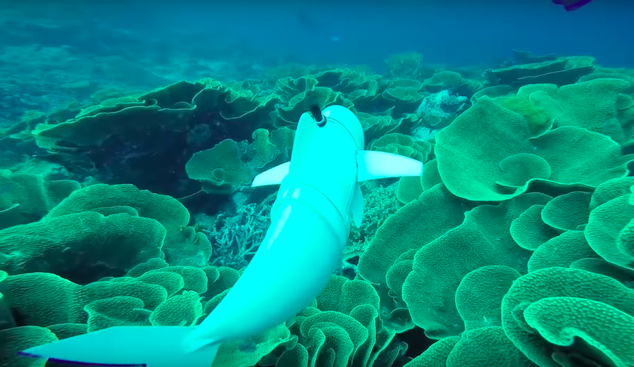 This Lifelike Robotic Fish Is Helping Scientists Monitor Ocean Health ...