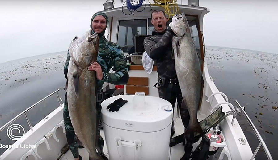 How Spearfishing Evolved from Hunting to a Sport Leading the ...