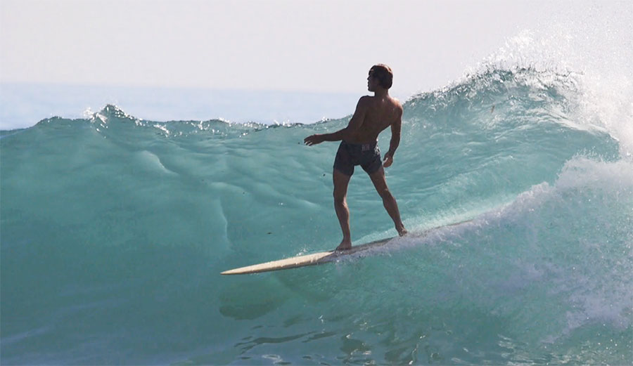 Spring Is Springing, and This Video Will Make You So Happy Winter Is ...