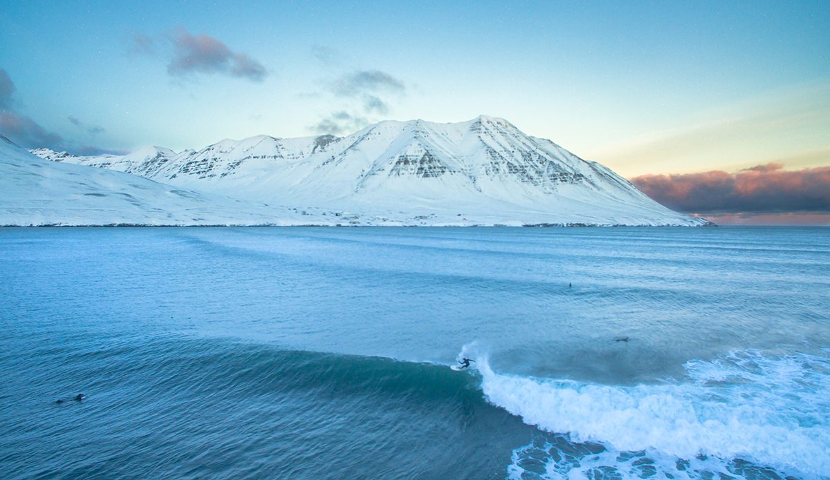 8 of the Most Amazing Photos We Saw in April | The Inertia