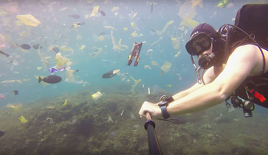 Diver In Indonesia Swims Through Massive Swirling Mass of Floating ...