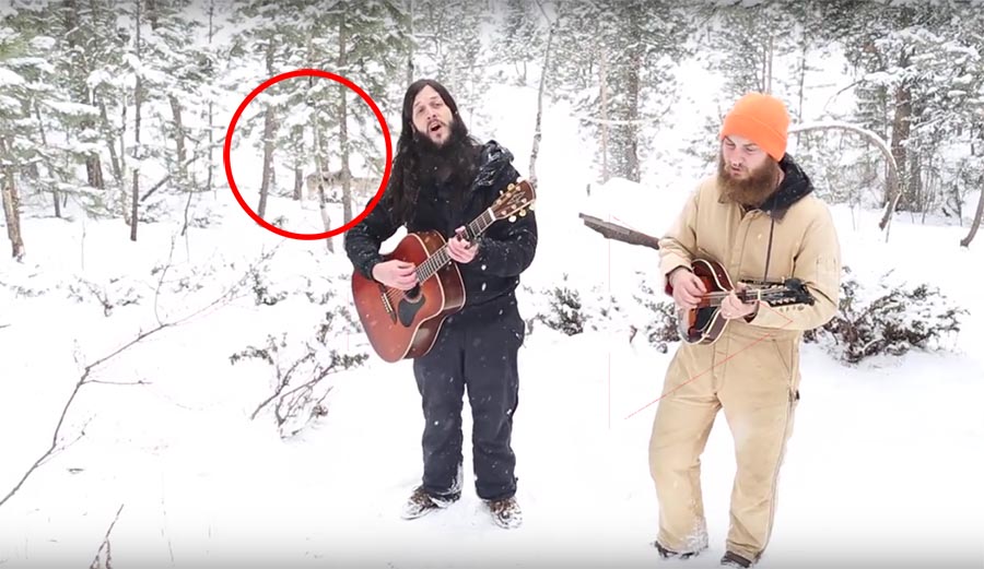 Two Guys Started Singing in a Wolf Sanctuary and the Sound Is Haunting ...