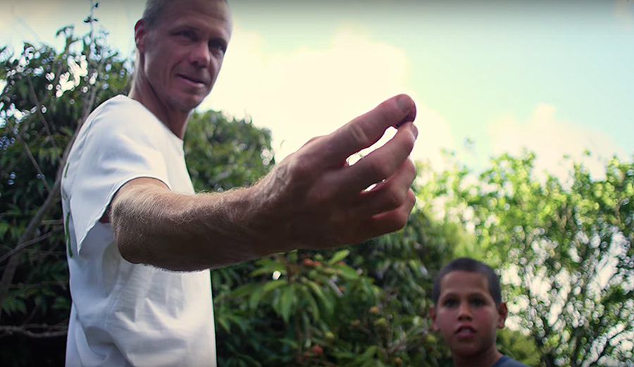 Gavin Beschen's North Shore Garden Is Proof He's Living the Good Life ...
