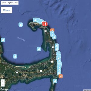 Cape Cod Lineup Evacuated as Shark Chomps on a Seal | The Inertia
