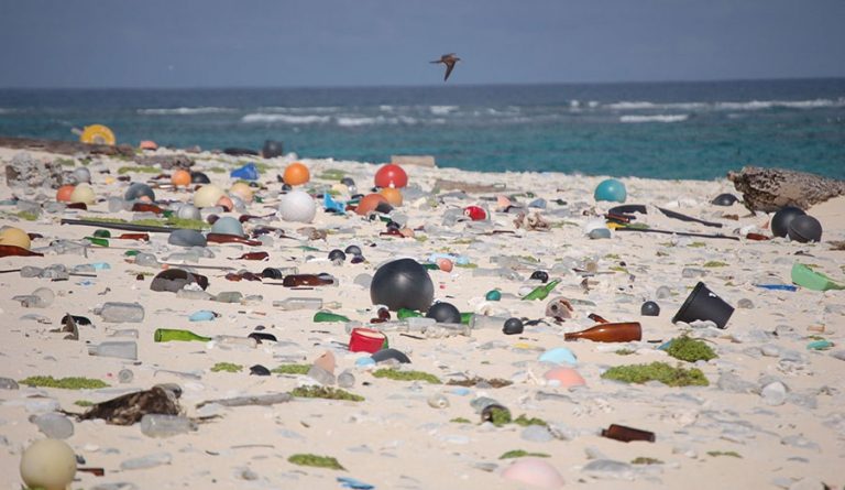 How to Clean Up Our Universal Plastic Tragedy | The Inertia