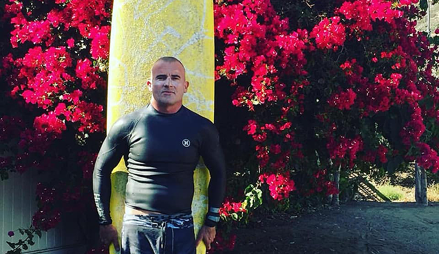 Actor Dominic Purcell on Surfing, Parenting, and His Serendipitous, But ...