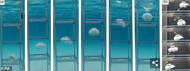 Scientists Just Built 'Robot Jellyfish' to Explore and Observe the ...