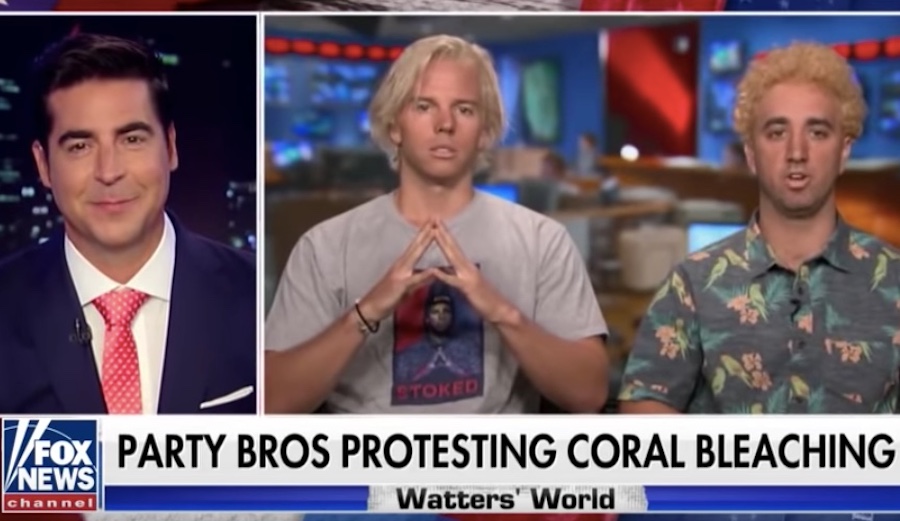 Party Bros Protest Coral Bleaching on Fox News | The Inertia
