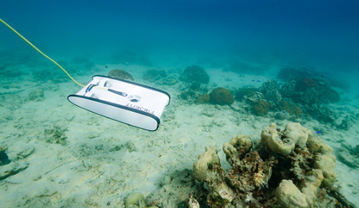 National Geographic Is Donating 1,000 of These Underwater Drones For ...