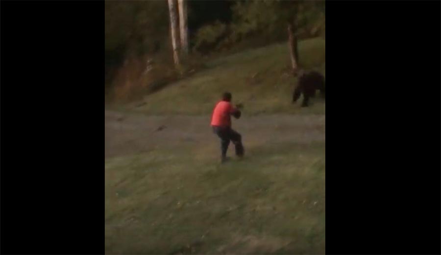 This Is the Most Terrifying Grizzly Bear Charge You've Ever Seen | The ...