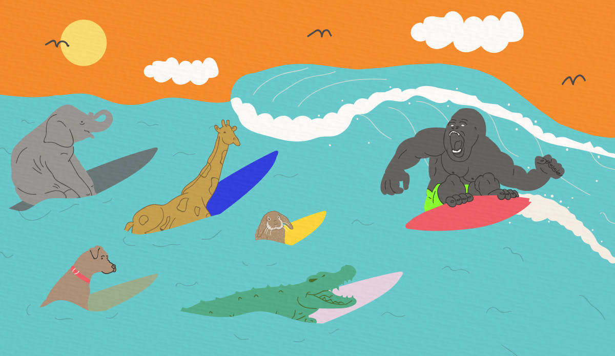 What Can Animals Teach Us About Lineups? | The Inertia