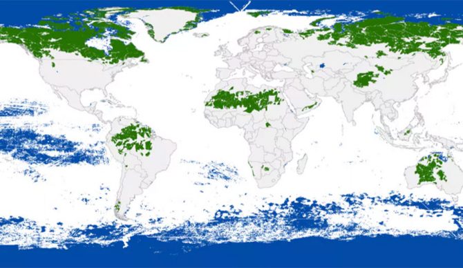 Earth’s Wilderness Is Vanishing, and Only a Handful of Nations Can Save ...