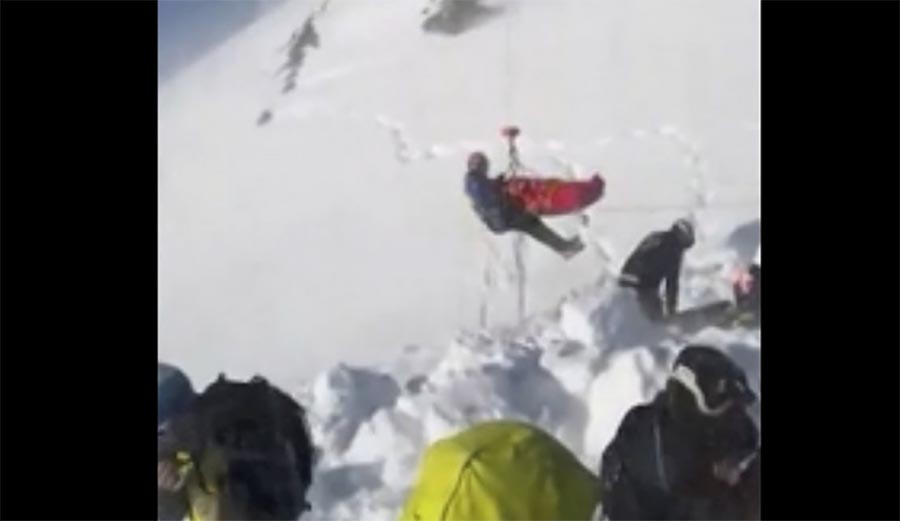 Avalanche Dog Pulls Off Miracle Rescue of 12-Year-Old Boy In the French ...