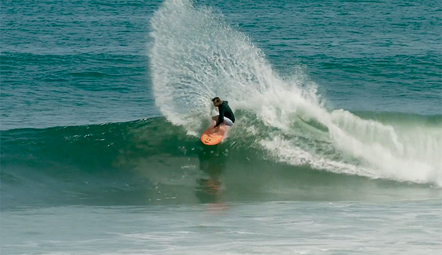 Tyler Warren and the New Channel Islands Fish: a Match Made in Heaven ...