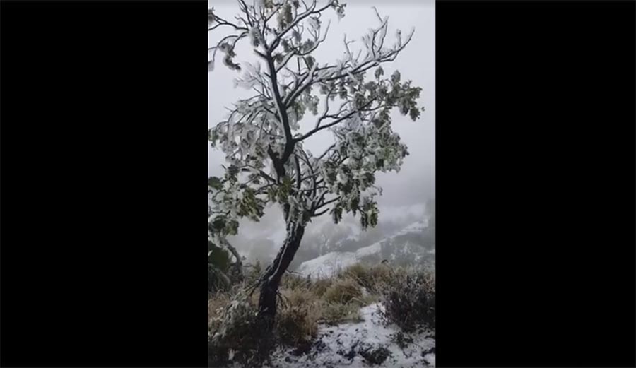 Maui's Haleakalā National Park Summit District Closed Due to Snow | The ...
