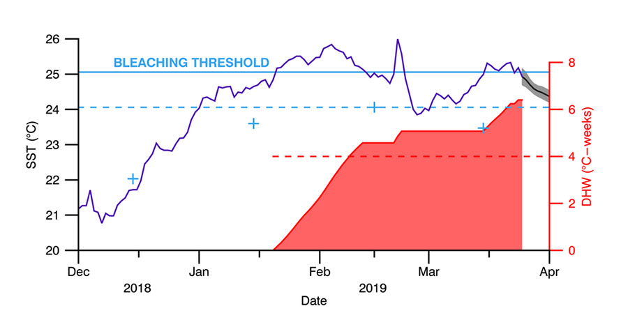 Bleaching Has Struck the Southernmost Coral Reef in the World | The Inertia