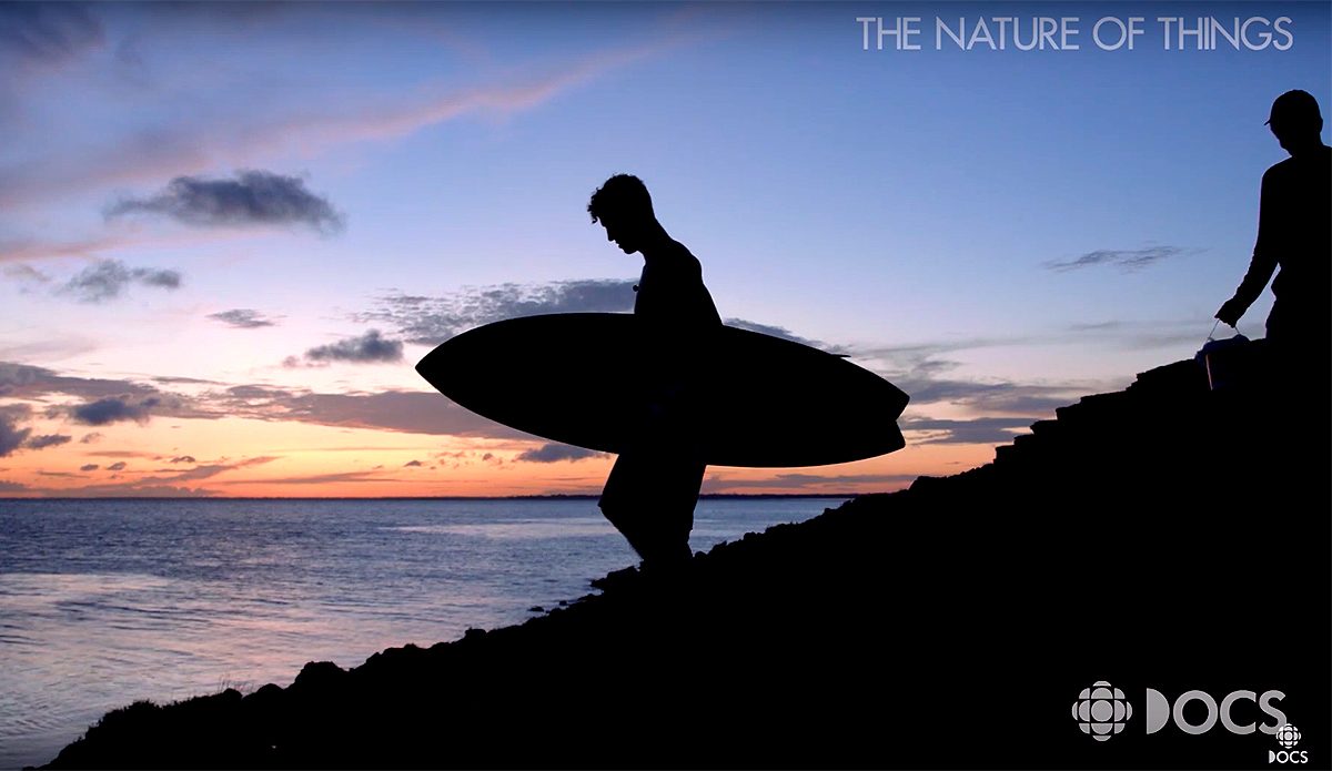 Watch These Men Ride the Pororoca Tidal Bore, Surfing on the Amazon ...