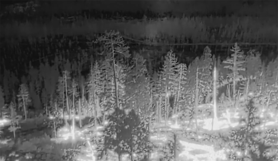 Watch as Drones Drop 'Incendiary Balls' on Forest Fire as UAVs Takes ...